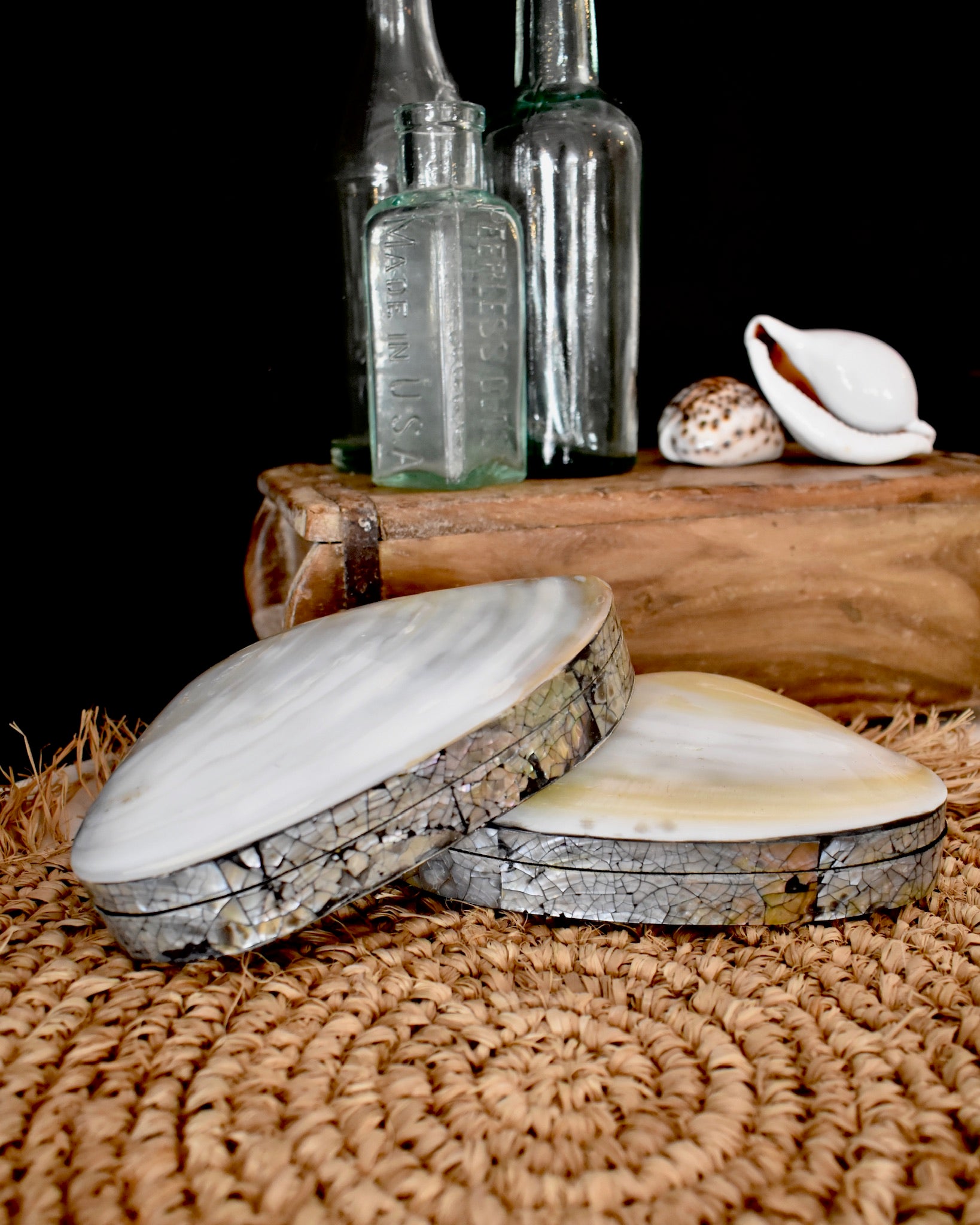 Shell Jewellery Box | MARTINIQUE ISLAND STYLE